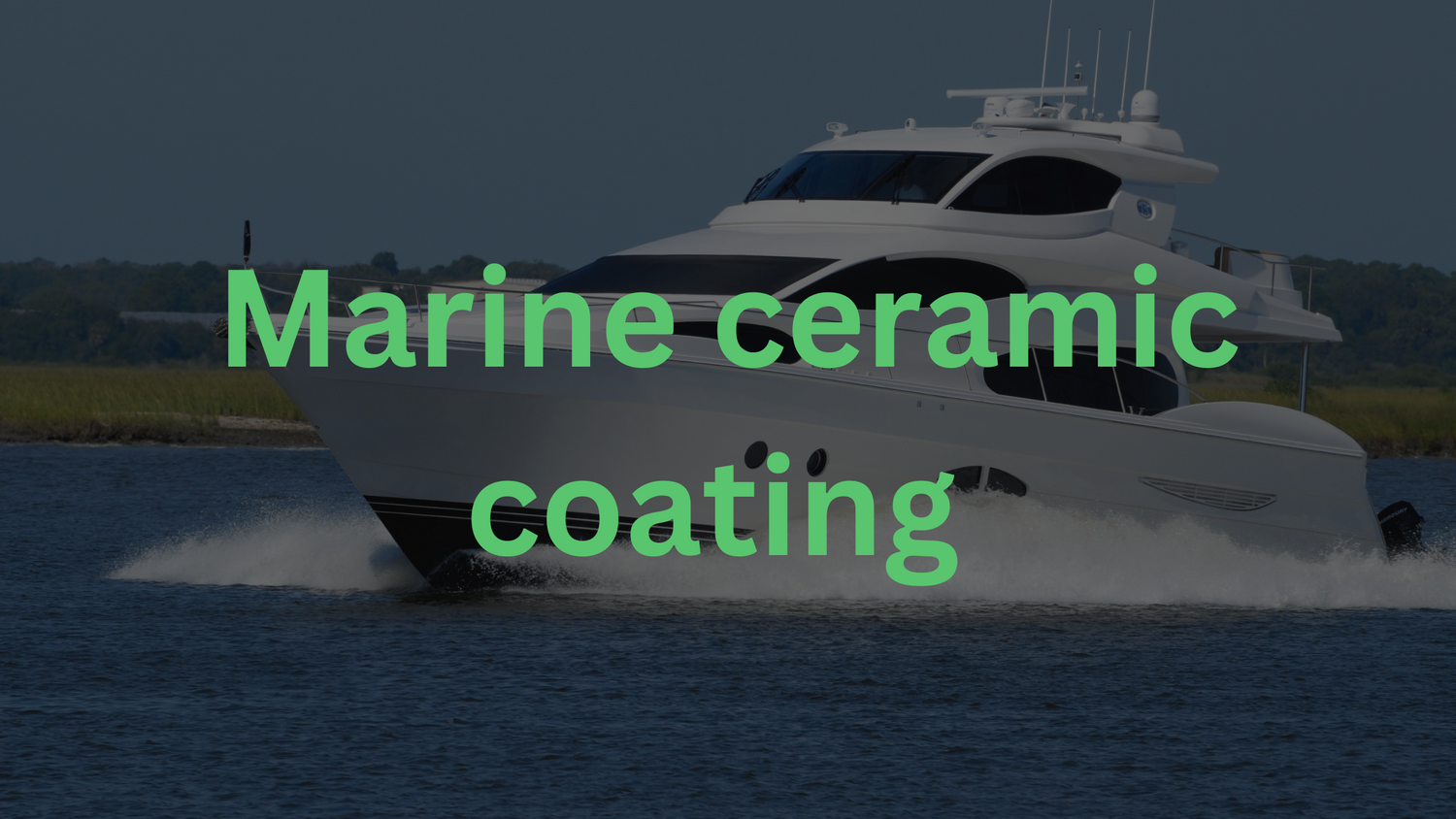 The Auto Lab Florida - Premium Automotive Cosmetic Services in Florida – TheAutoLab